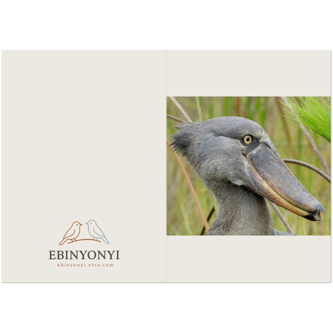 Shoebill Stork Art Cards - Wildlife Bird Greeting Cards, Pack of 10 - Etsy