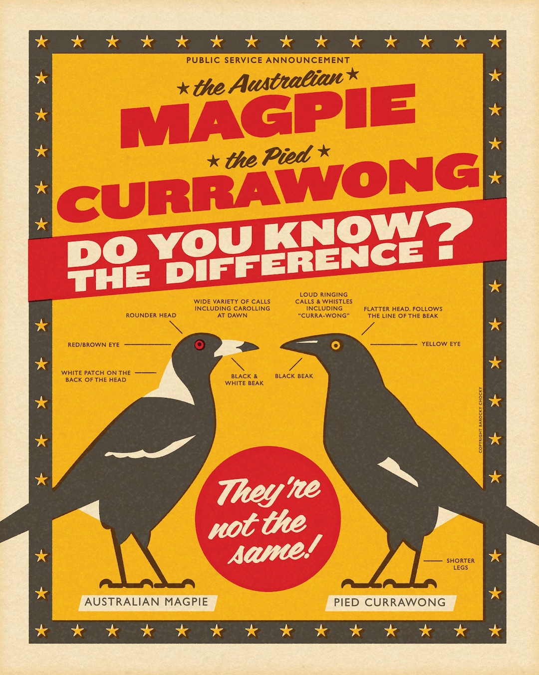 Magpie and Currawong Retro Illustrated Print - Etsy