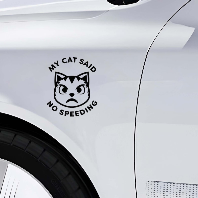 Funny Cat Car Sticker, My Cat Said No Speeding Vinyl Decal, Cat Lover ...