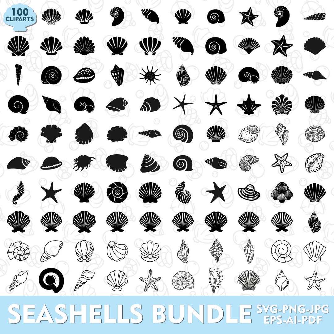 100 Seashell SVG Bundle | Beach and Ocean Clipart | Layered, Outline ...