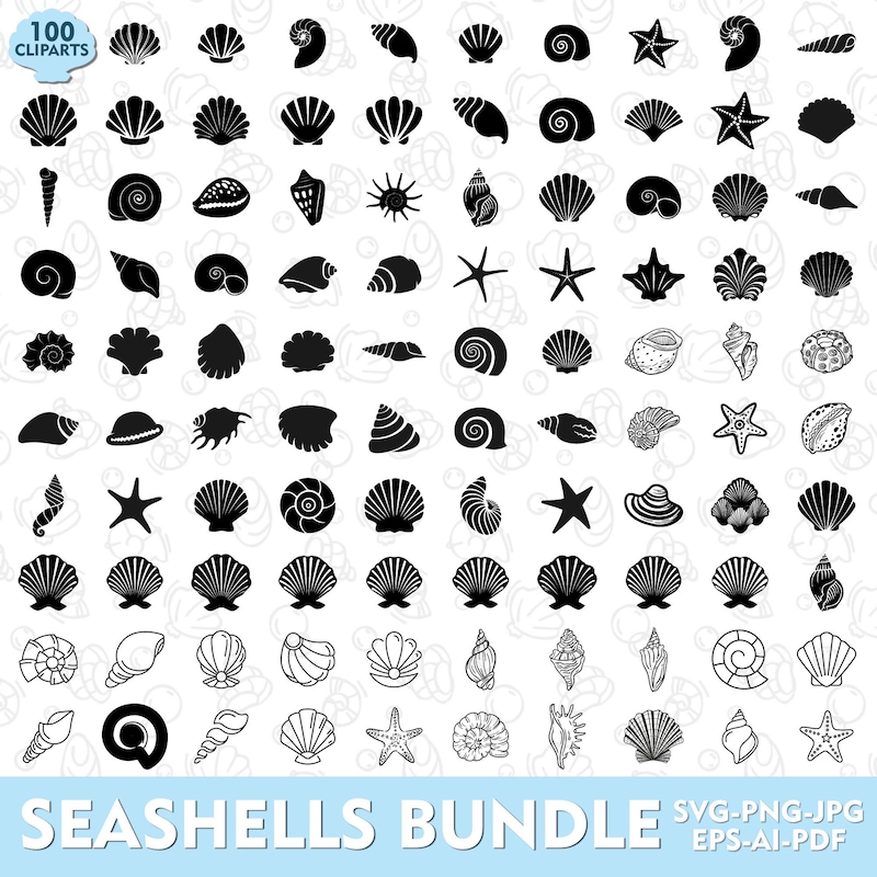 Seashell Svg - Etsy