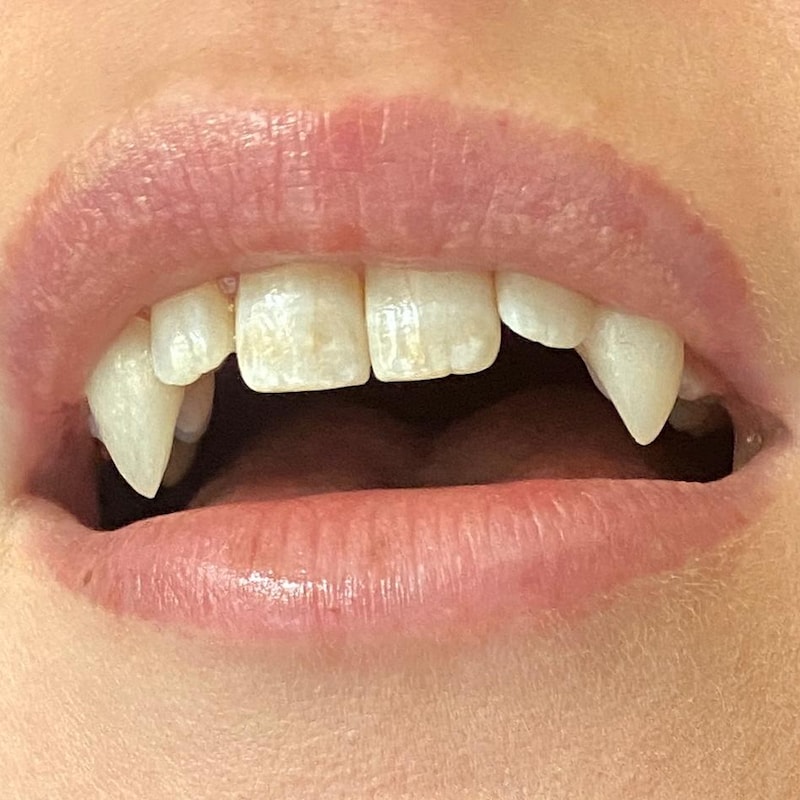 Realistic Vampire Teeth - Etsy