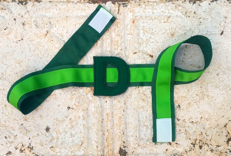 DISGUST BELT Girls/ Teen/ Adult/ Child Inside Out Disney Pixar ...