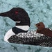 Common Loon With Baby Fpp--woodland and Riverside Animals Series--paper ...