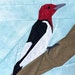 Red-headed Woodpecker Fpp--backyard Birds Series--paper Piecing Quilt ...