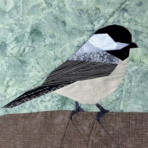 Backyard Birds Series Collection #5--steller's Jay, Oriole, Chickadee ...