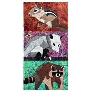 Chipmunk, Opossum, and Raccoon Fppwoodland and Riverside Animals ...