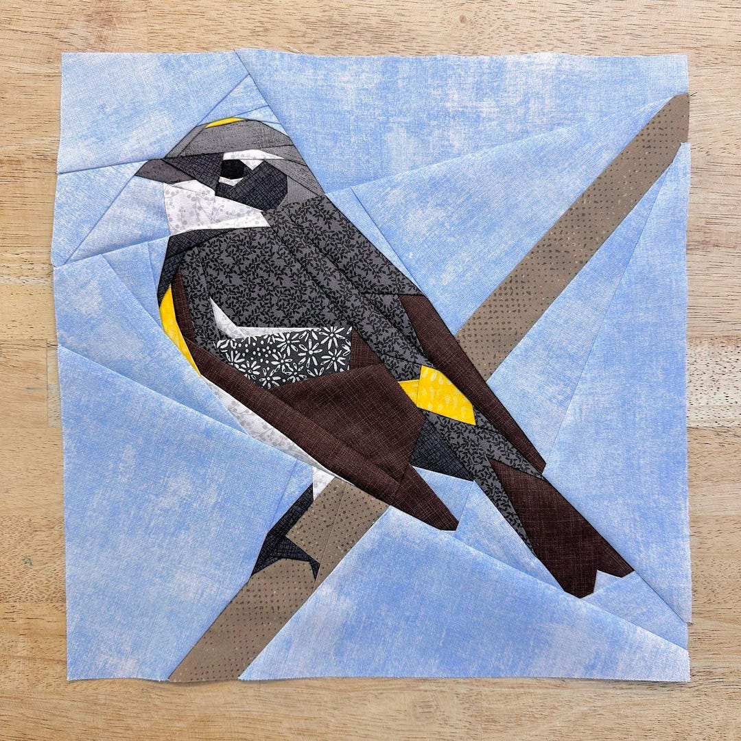 Yellow-rumped Warbler Fpp--backyard Birds Series--includes Both Myrtle ...