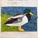 Wood Duck, Loon With Baby, Ruddy Duck, Mallard Duck FPP--4 Patterns ...