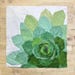 Hen and Chicks Succulent FPP Pattern--paper Piecing Quilt Block - Etsy