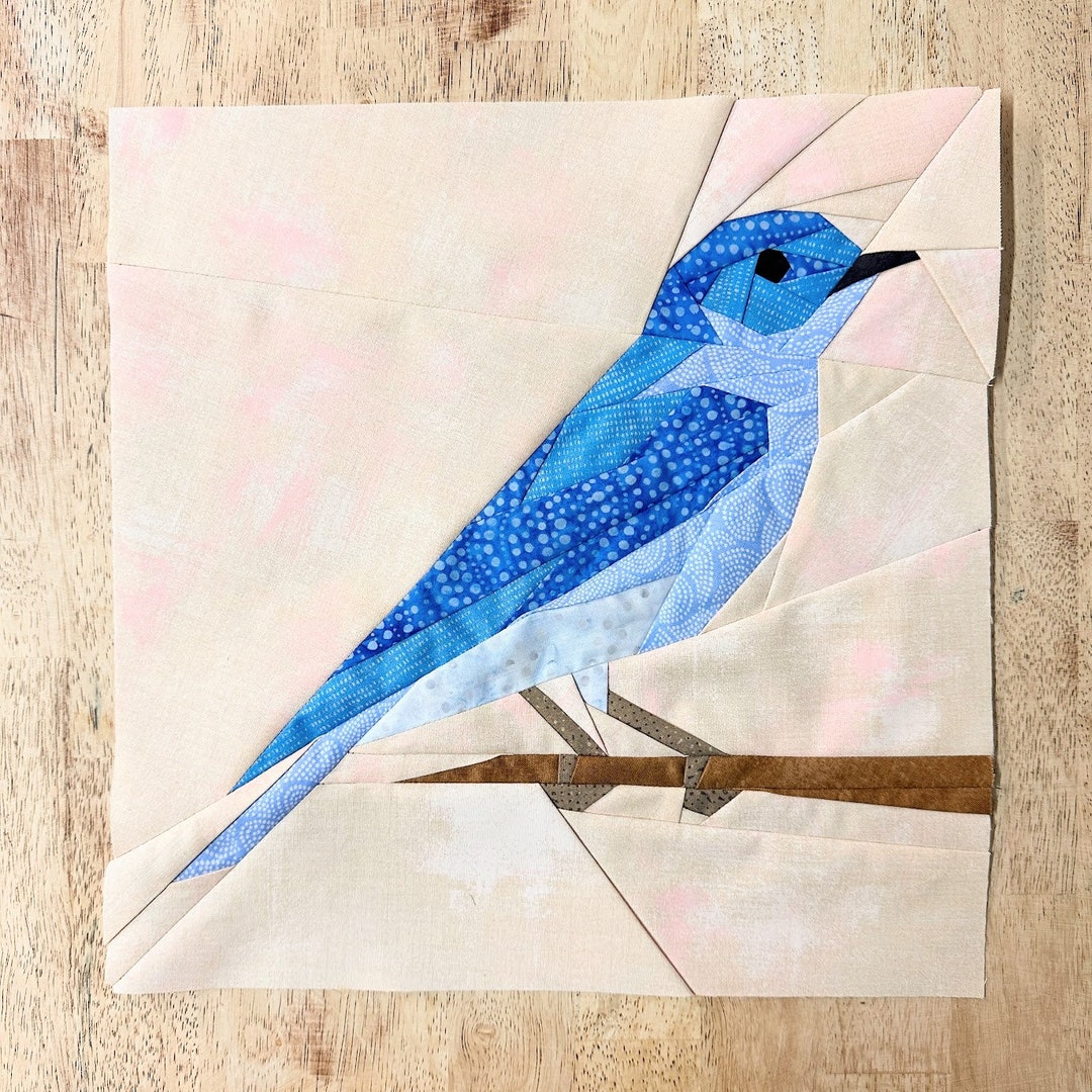 Mountain Bluebird With Eastern Bluebird Variation Fpp--backyard Birds ...