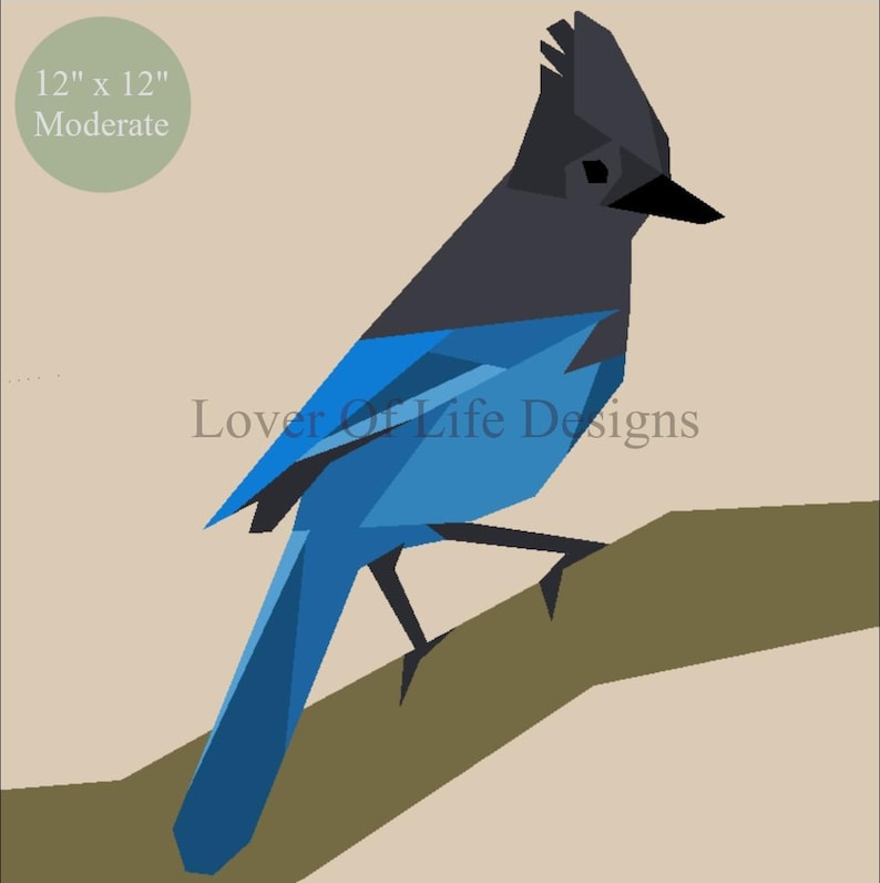 Backyard Birds Series Collection #5--steller's Jay, Oriole, Chickadee ...