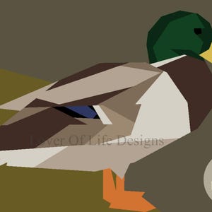Wood Duck, Loon With Baby, Ruddy Duck, Mallard Duck FPP--4 Patterns ...