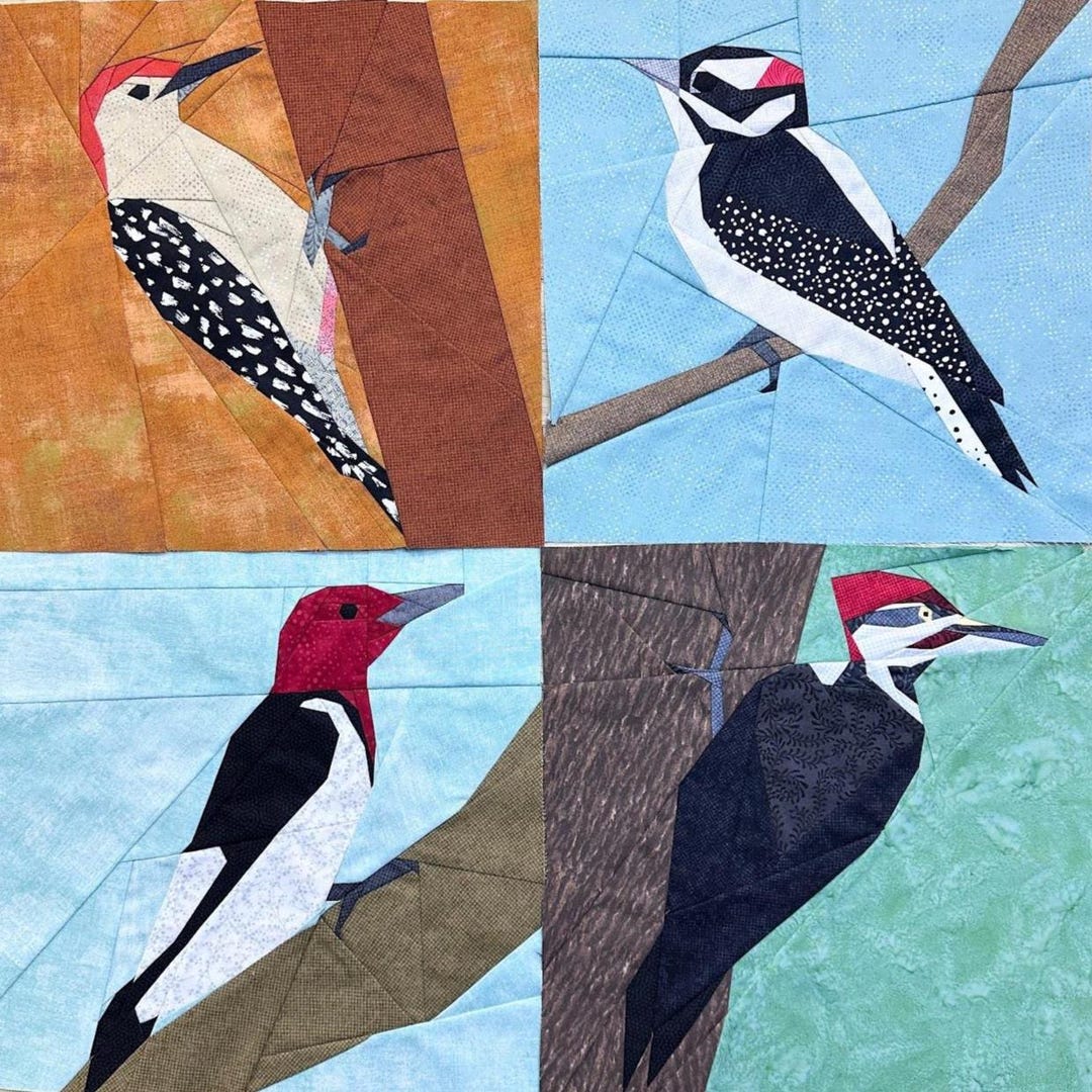 Woodpecker FPP Set--red-bellied, Downy, Red-headed, Pileated ...