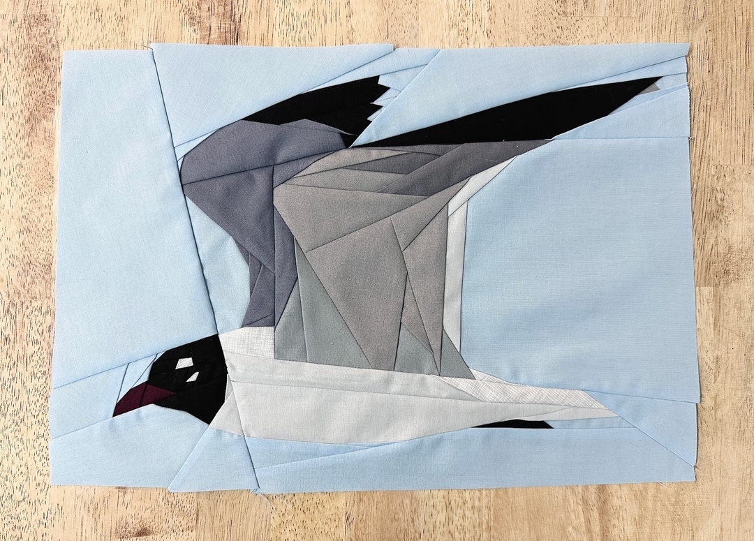 Laughing Gull in Flight Fppsea Birdsseagull2 Pattern Sizespaper Piecing ...