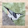 Blue Jay Fppbackyard Birds Seriespaper Piecing Quilt Block Pattern ...