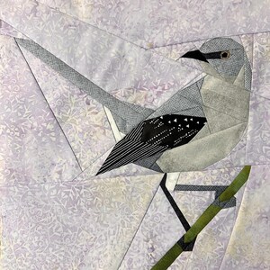 Backyard Birds Series Collection #5--steller's Jay, Oriole, Chickadee ...