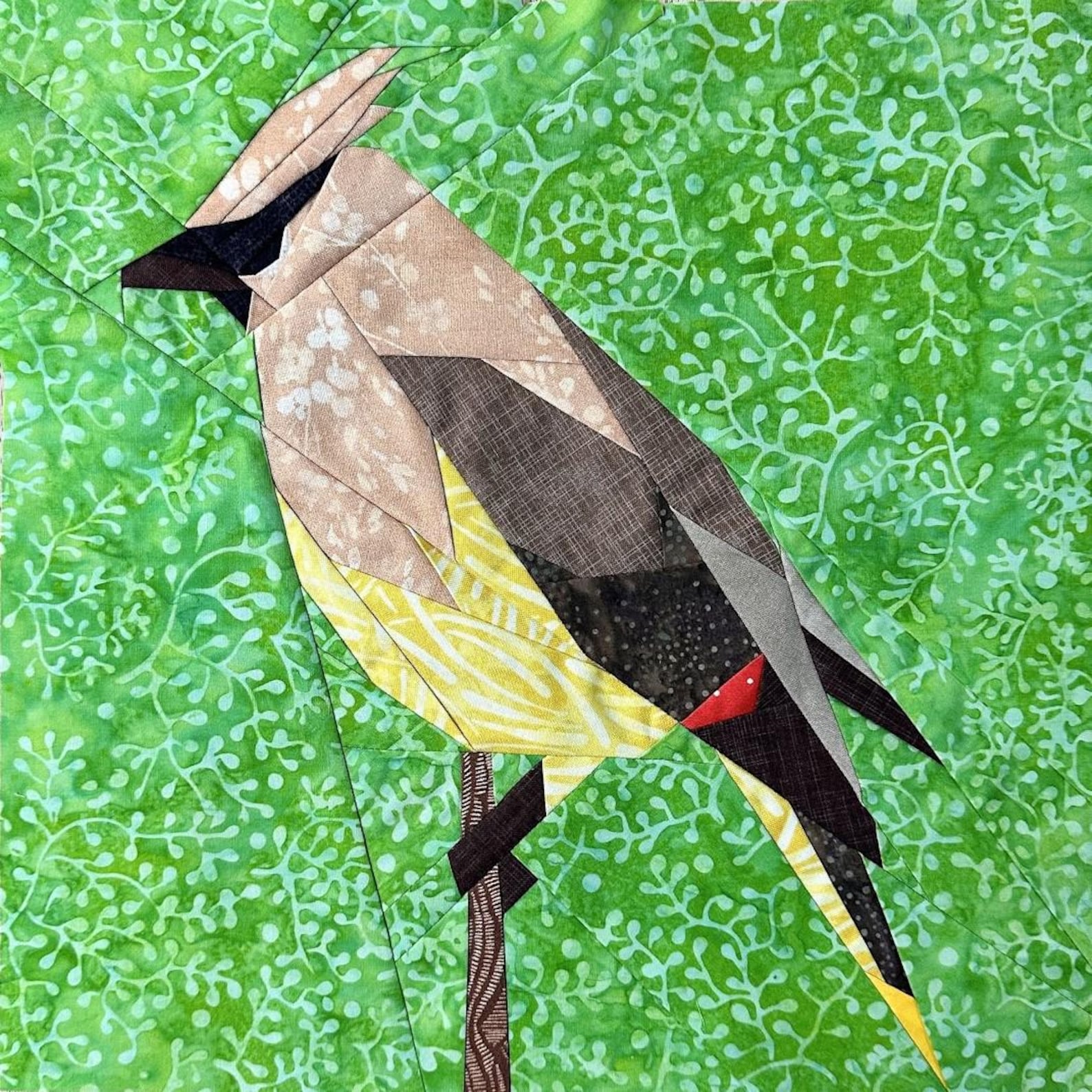 Backyard Birds Series Collection #1--blue Jay, Cedar Waxwing, American ...