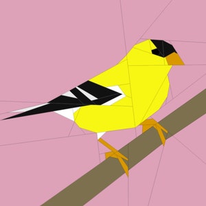 Blue Jay, Goldfinch, Cardinal, Oriole FPP Set--backyard Birds Series--4 ...