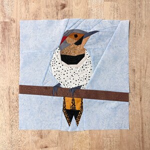 Red-bellied Woodpecker, Cedar Waxwing, Red-winged Blackbird, Northern ...