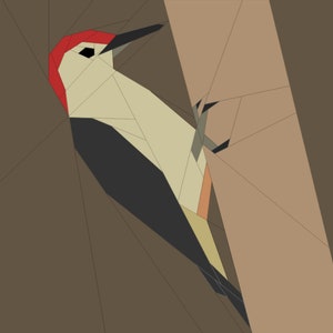 Red-bellied Woodpecker Fpp--backyard Birds Series--paper Piecing Quilt ...