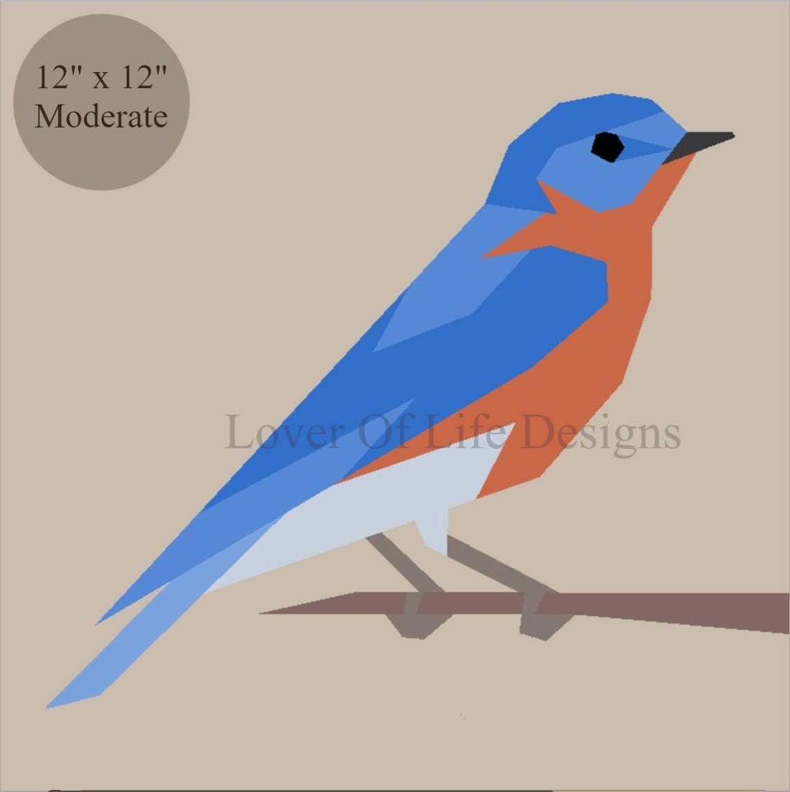 Mountain Bluebird With Eastern Bluebird Variation Fpp--backyard Birds ...