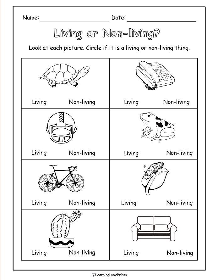 Living and Nonliving Things Worksheet Pack/science Sorting Activity for ...