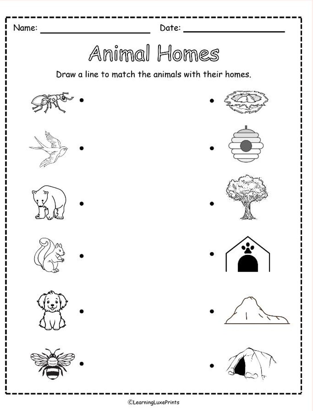 Animal Homes Matching Worksheet/ Preschool & Kindergarten Printable ...