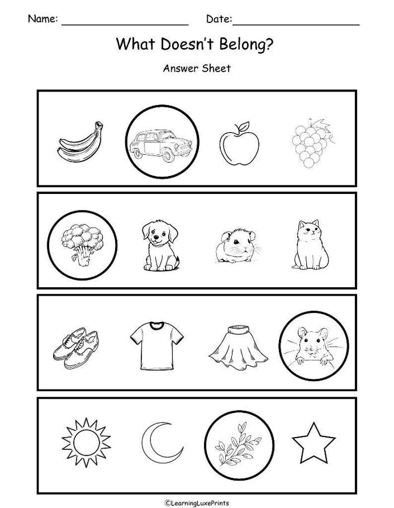 What Doesn't Belong Printable/ Preschool & Kindergarten Activity ...