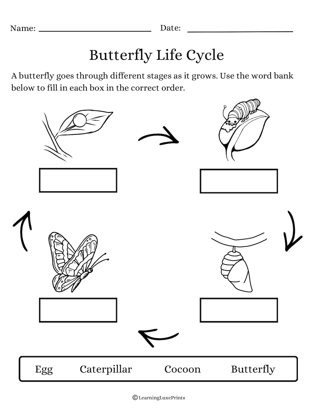 Butterfly Life Cycle Worksheet, Science Activity Page (PDF Download ...
