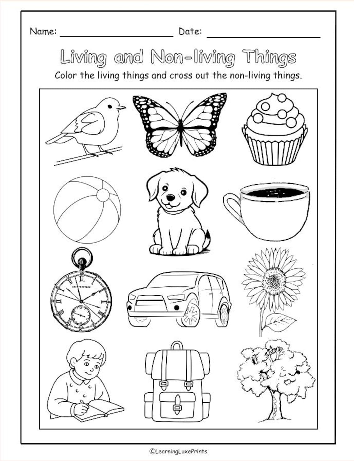 Living and Nonliving Things Worksheet Pack/science Sorting Activity for ...