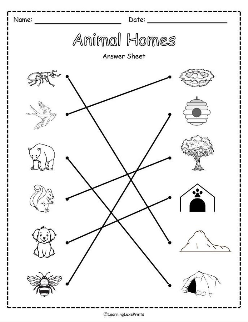 Animal Homes Matching Worksheet/ Preschool & Kindergarten Printable ...