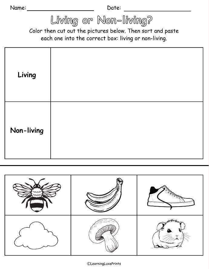 Living and Nonliving Things Worksheet Pack/science Sorting Activity for ...