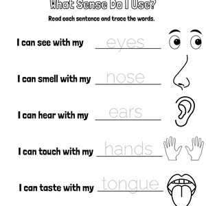 Five Senses Printable Worksheets / Match & Trace Learning Pack - Etsy