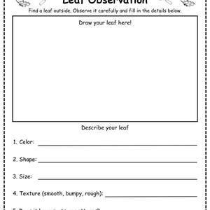 Leaf Observation Worksheet/ Fall Science Activity for Kids/nature Walk ...