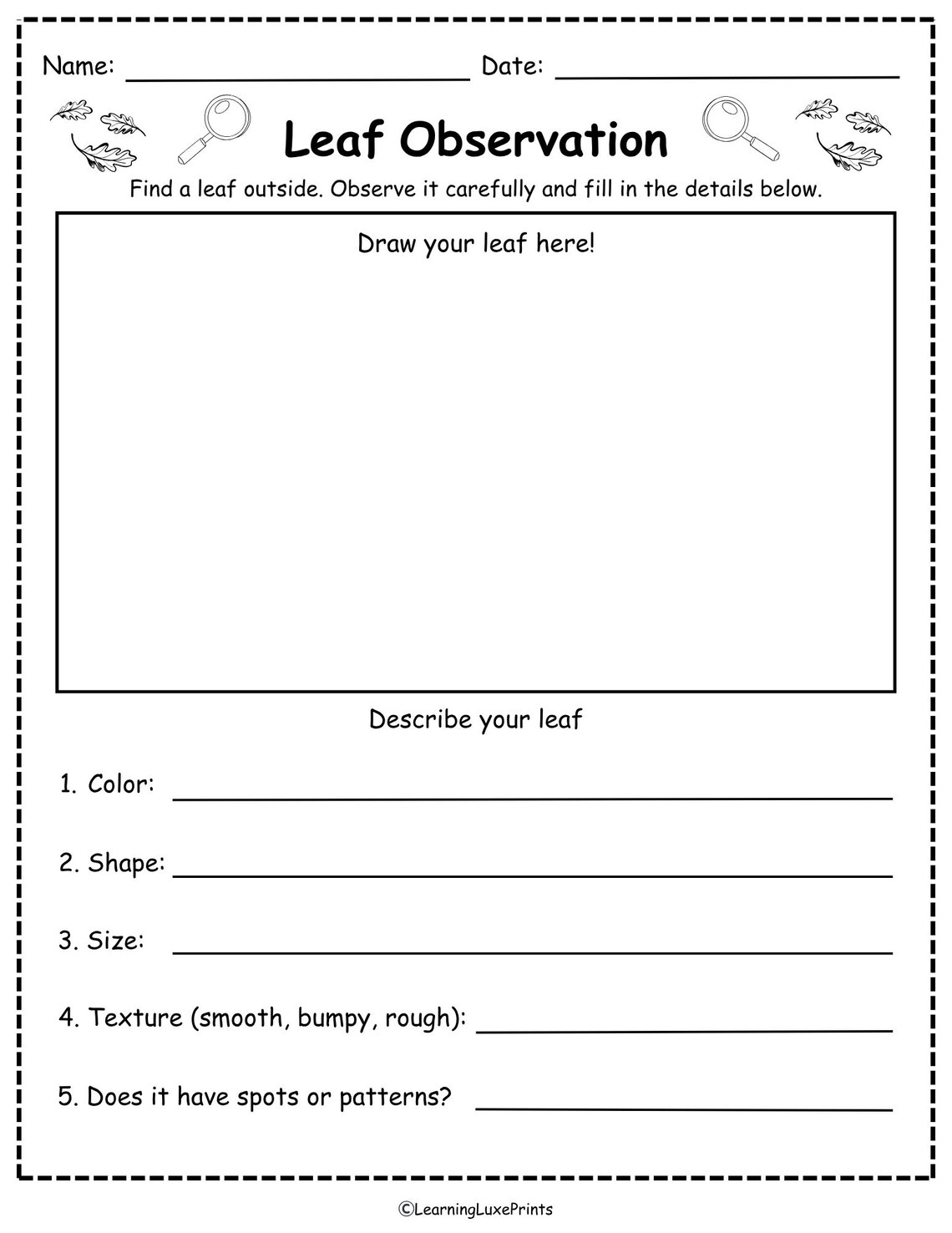 Leaf Observation Worksheet/ Fall Science Activity for Kids/nature Walk ...