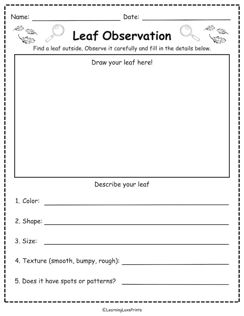 Leaf Observation Worksheet/ Fall Science Activity for Kids/nature Walk ...