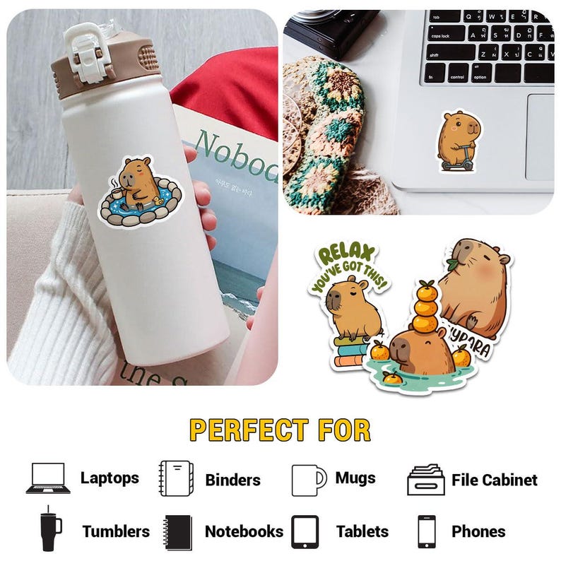 Cute Capybara Sticker Set - Funny Snacky-bara & Snappy-bara Aesthetic ...