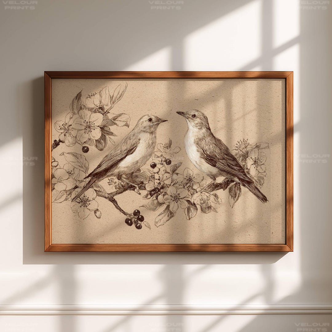 Robin Botanical Sketch | Antique Line Drawing Bird Print | Vintage ...