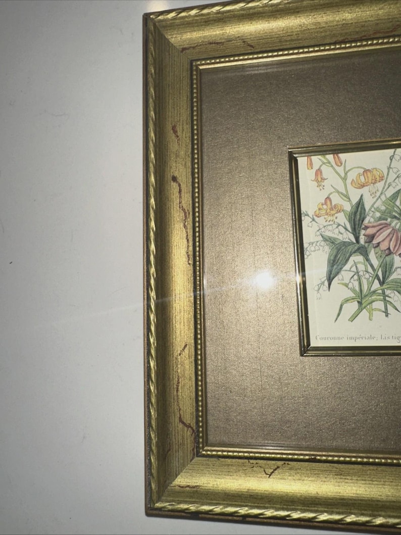 Vintage Botanical Prints: Vanguard Studios Ornate Gold Frames, Set of 2 ...