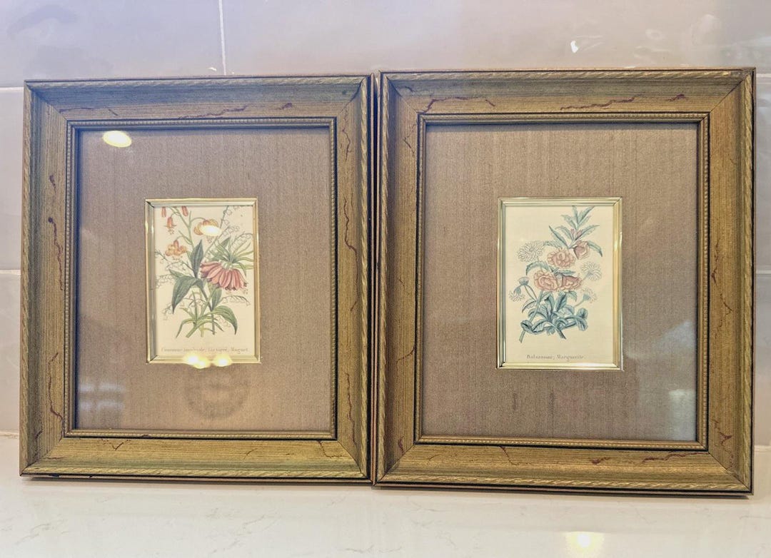 Vintage Botanical Prints: Vanguard Studios Ornate Gold Frames, Set of 2 ...