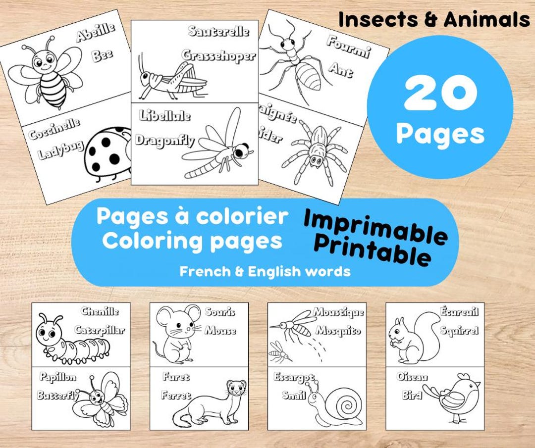 20 Animals Insects Printable Coloring Book - French English Bilingual ...
