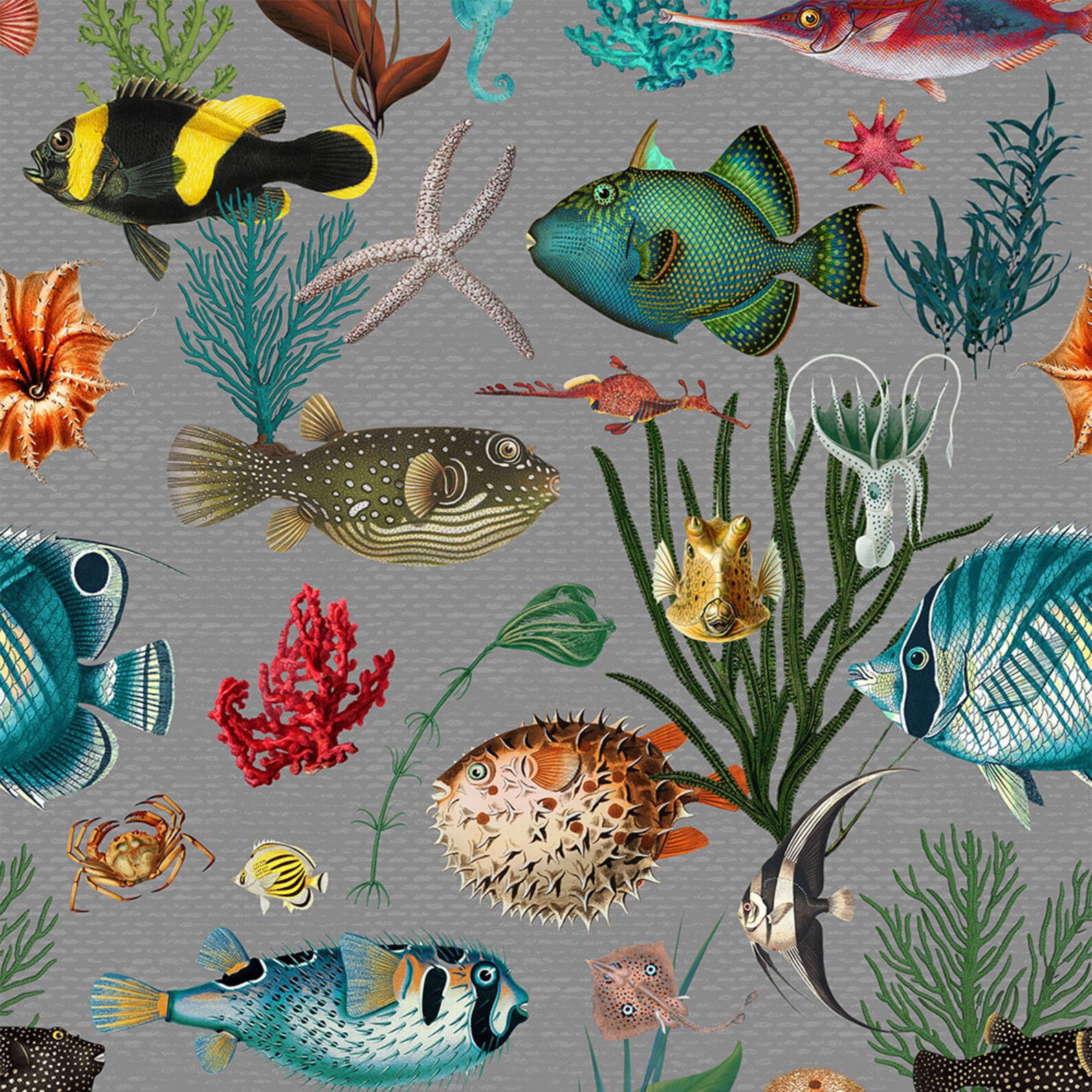 Ocean Fish Wallpaper Grey Teal Coral Red REMOVABLE Peel and - Etsy