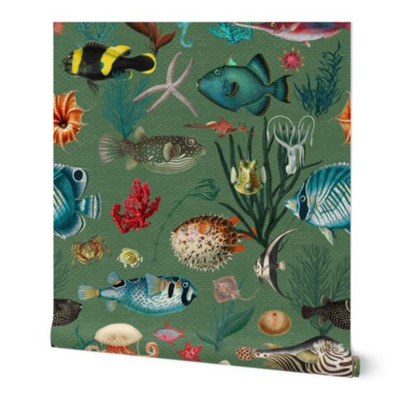 Ocean Fish Wallpaper Olive Green Sage Fern Teal Coral | Etsy