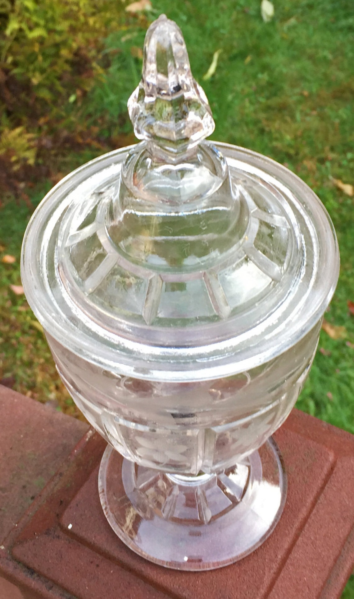 GLASS Compote With Lid and Etched Design. - Etsy