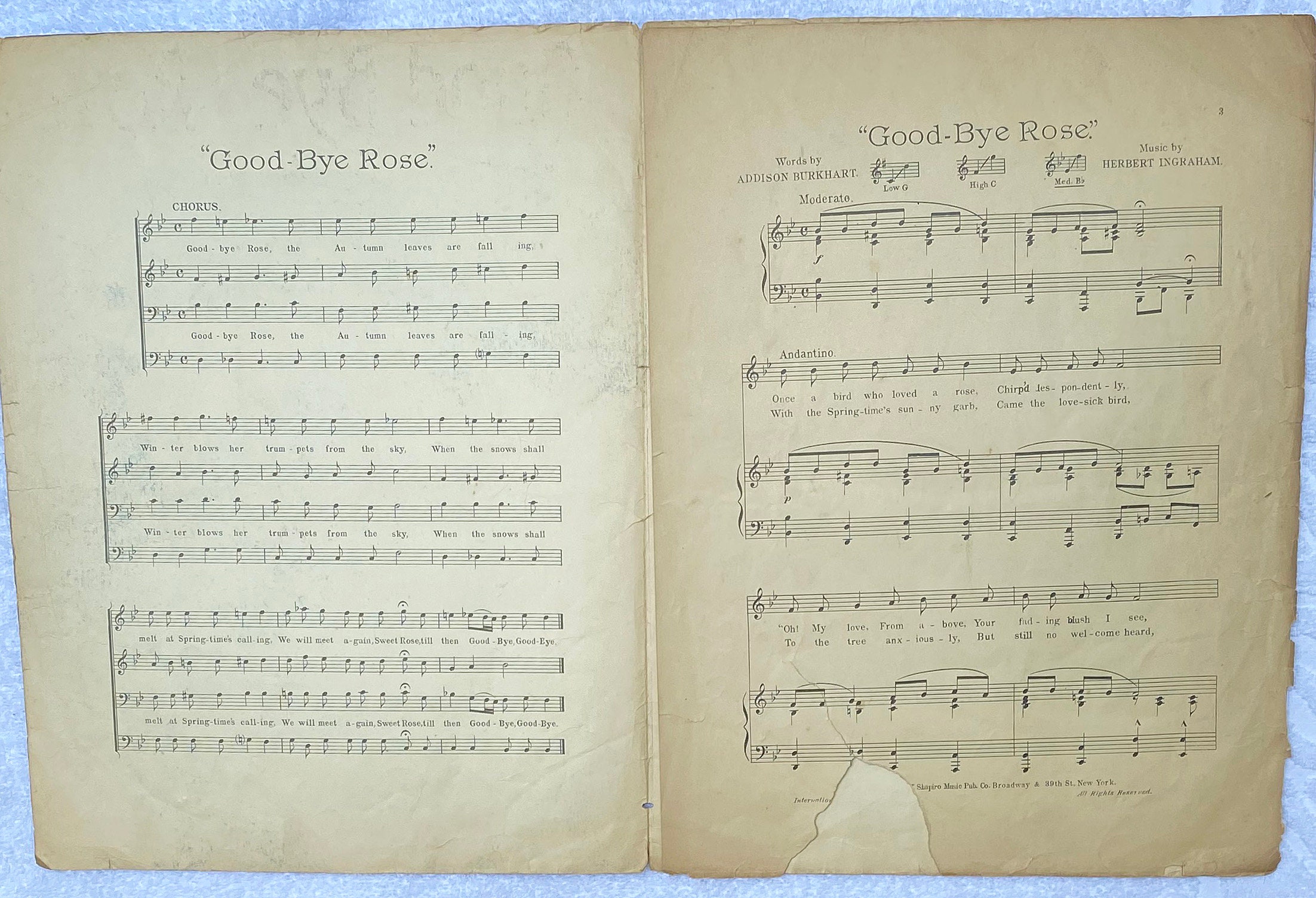 Good Bye, Rose. Vintage Sheet Music Ballad. Collectible Cover Artist ...