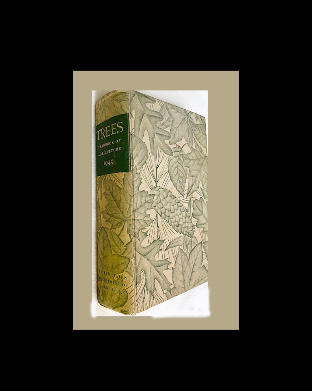 1949 Yearbook of Agriculture: "trees" - Illustrated US Dept - Etsy