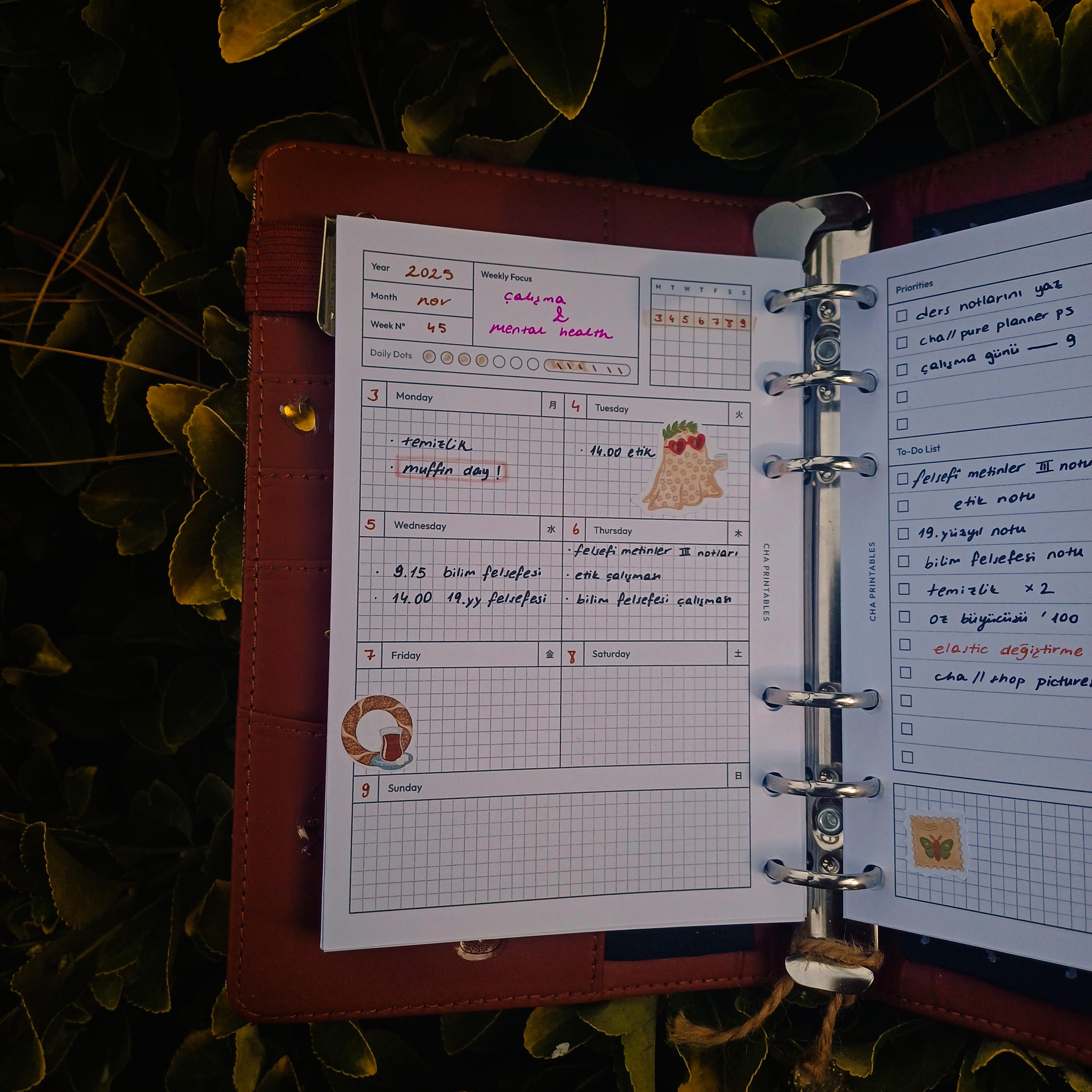 Weekly Planner Inserts A6 Size Printable - Undated Ring Binder Refill ...