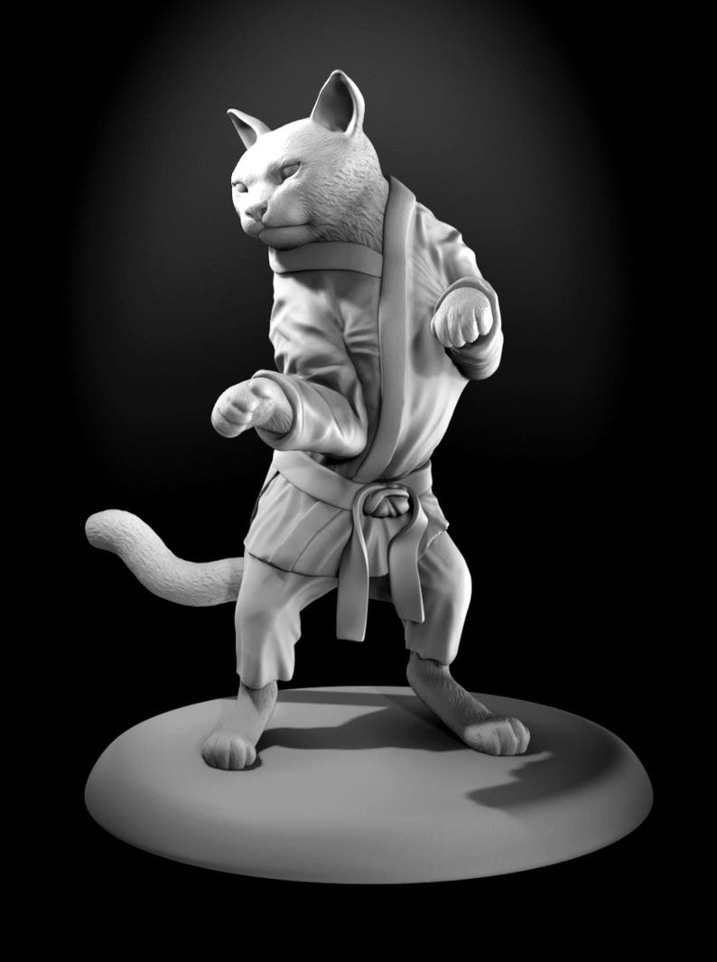 Karate Cat 3d Stl Model for Printing - Etsy