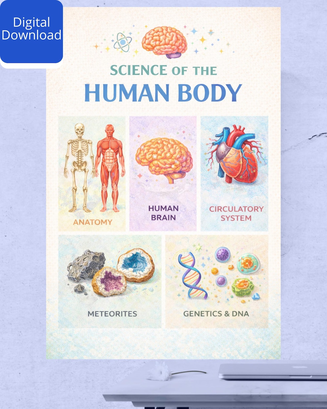 Science of the Human Body Poster | Educational Anatomy Biology ...